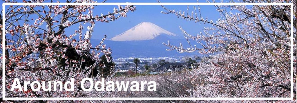 Odawara Shopping - Odawara Guide