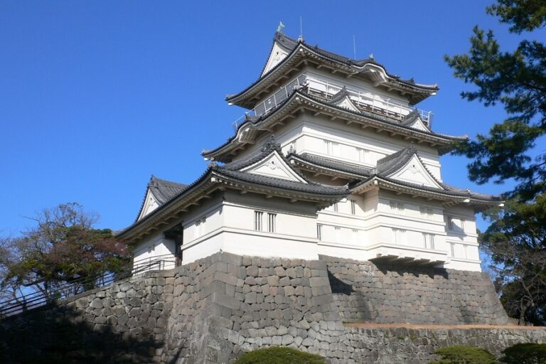 The Real Shogun, Toyotomi Hideyoshi - Odawara Guide